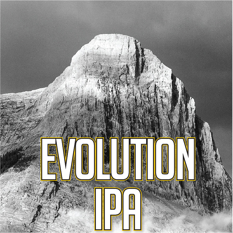 Evolution IPA (4 x 473ml Cans)